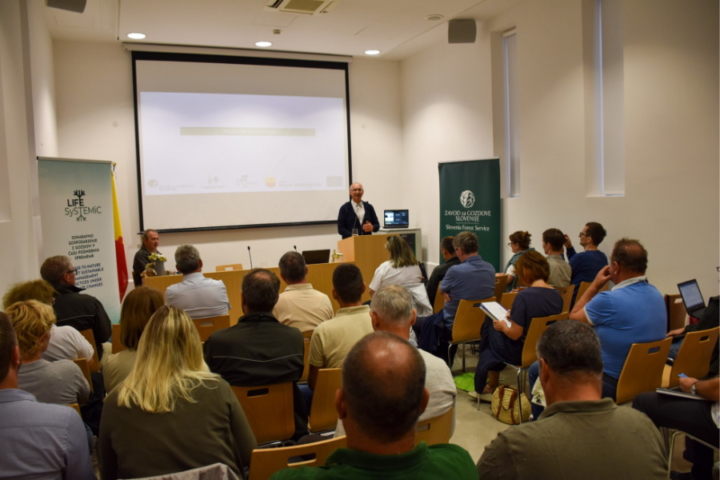 Obdobje vročine in suše je mimo: kaj za seboj puščajo požari v ...