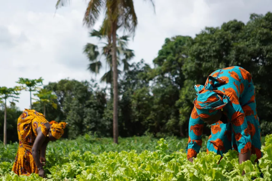 Vsako noč gre lačnih spat kar 828 milijonov ljudi - Slovenec